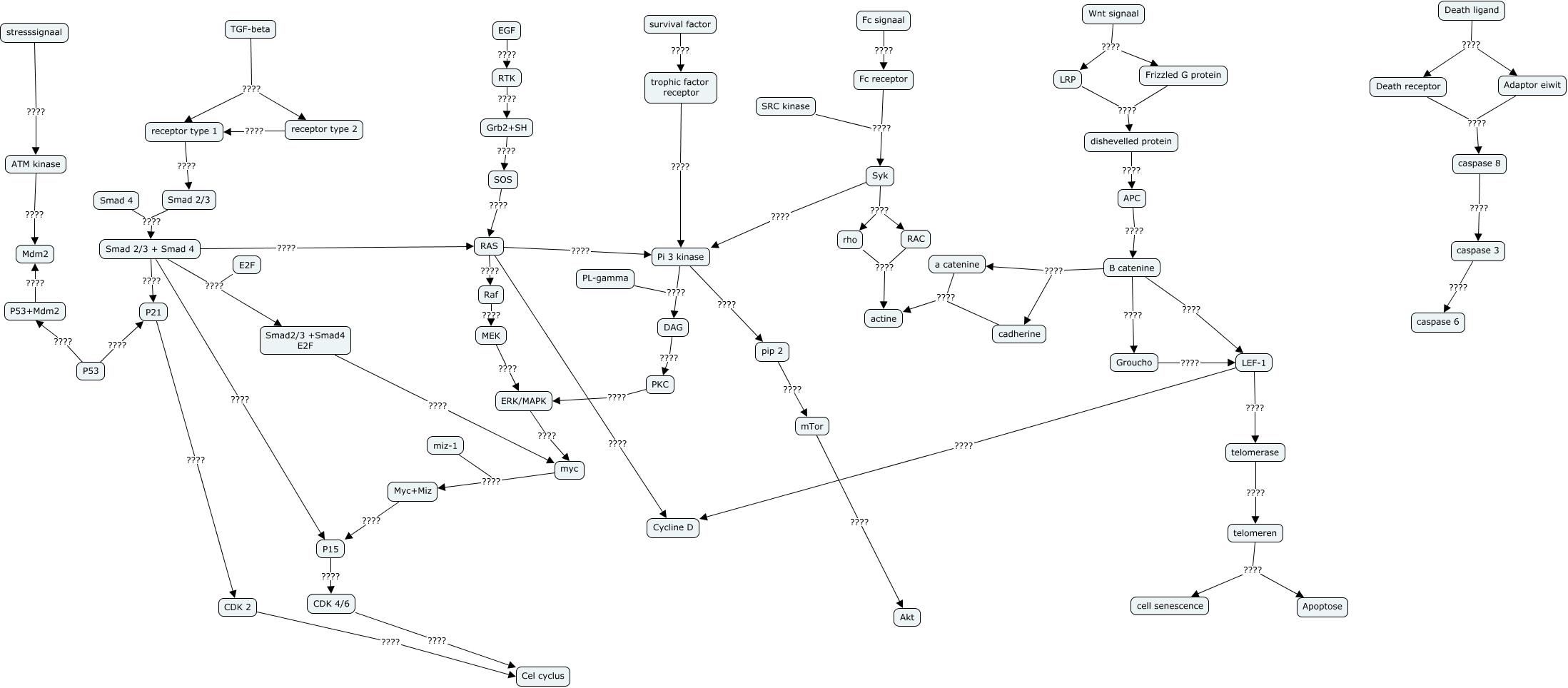 Cmap celbiologie versie 3